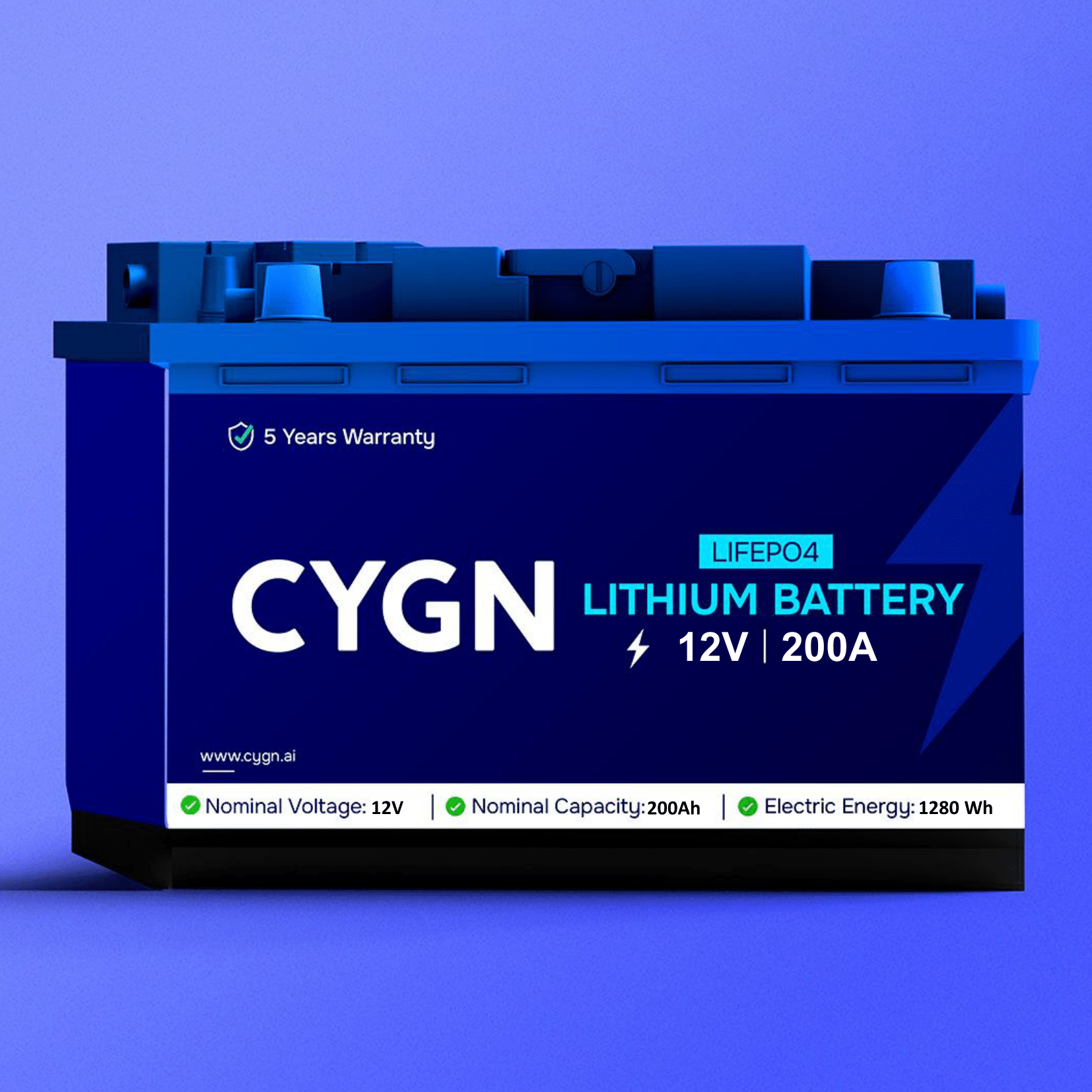 LITHIUM LIFEPO4 BATTERIES – CYGN